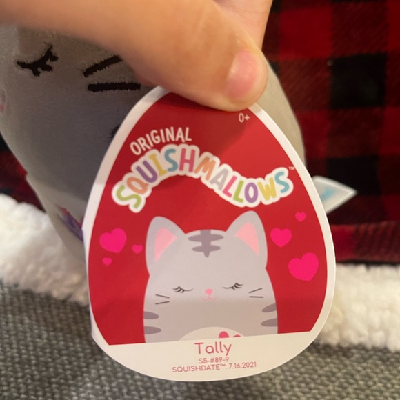 Squishmallows | Other | Squishmallows Tally The Tabby Cat 5 Stuffed ...